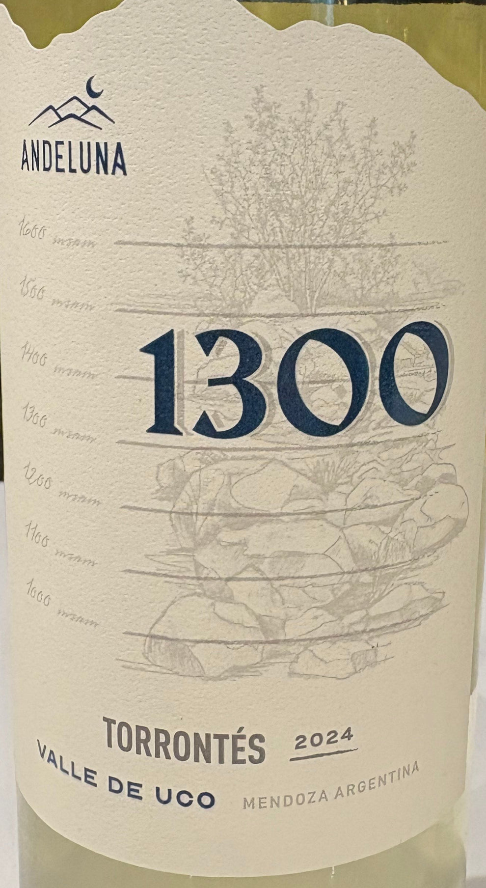 Andeluna '1300' - Torrontes – The Wine Feed